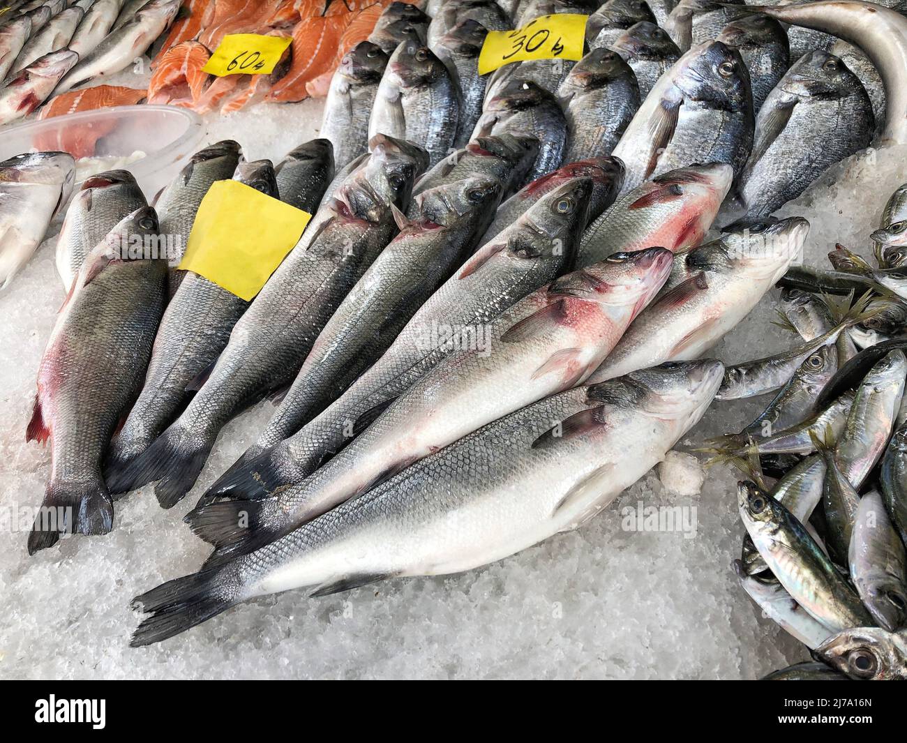 Variety of raw fishes on market with price labels on them Stock Photo ...