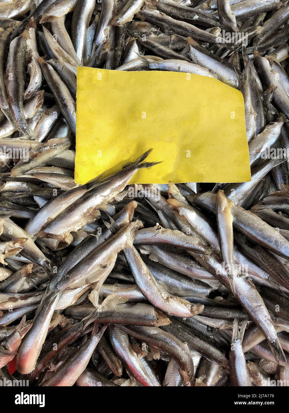 raw anchovy fishes on market with an empty label on Stock Photo - Alamy