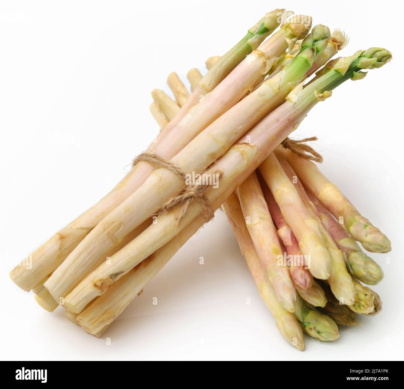 German White Asparagus fresh and organic over white background Stock ...