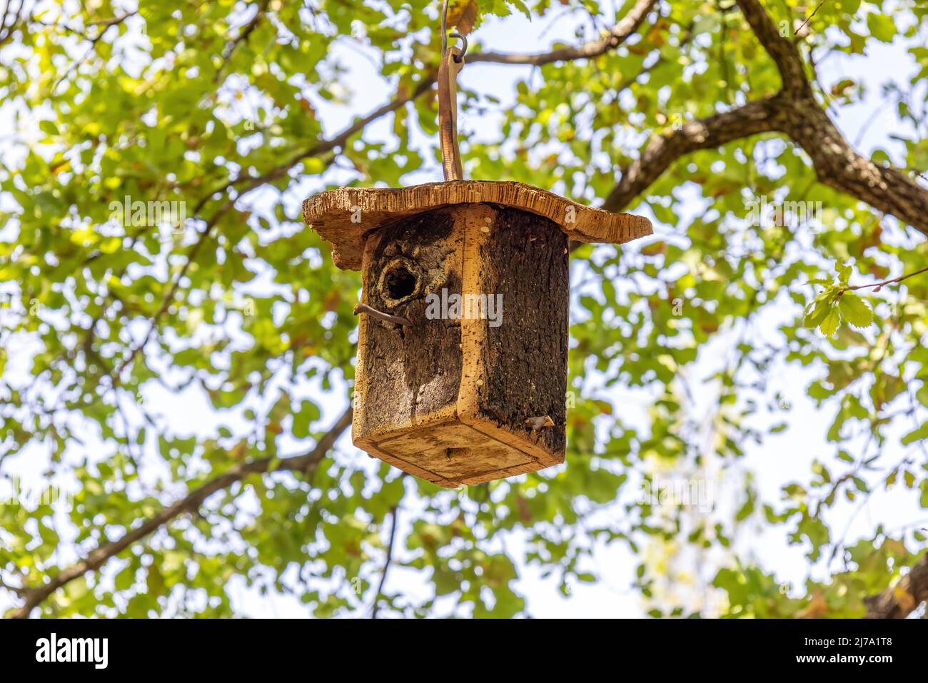 Tree with birdhouses hi-res stock photography and images - Alamy