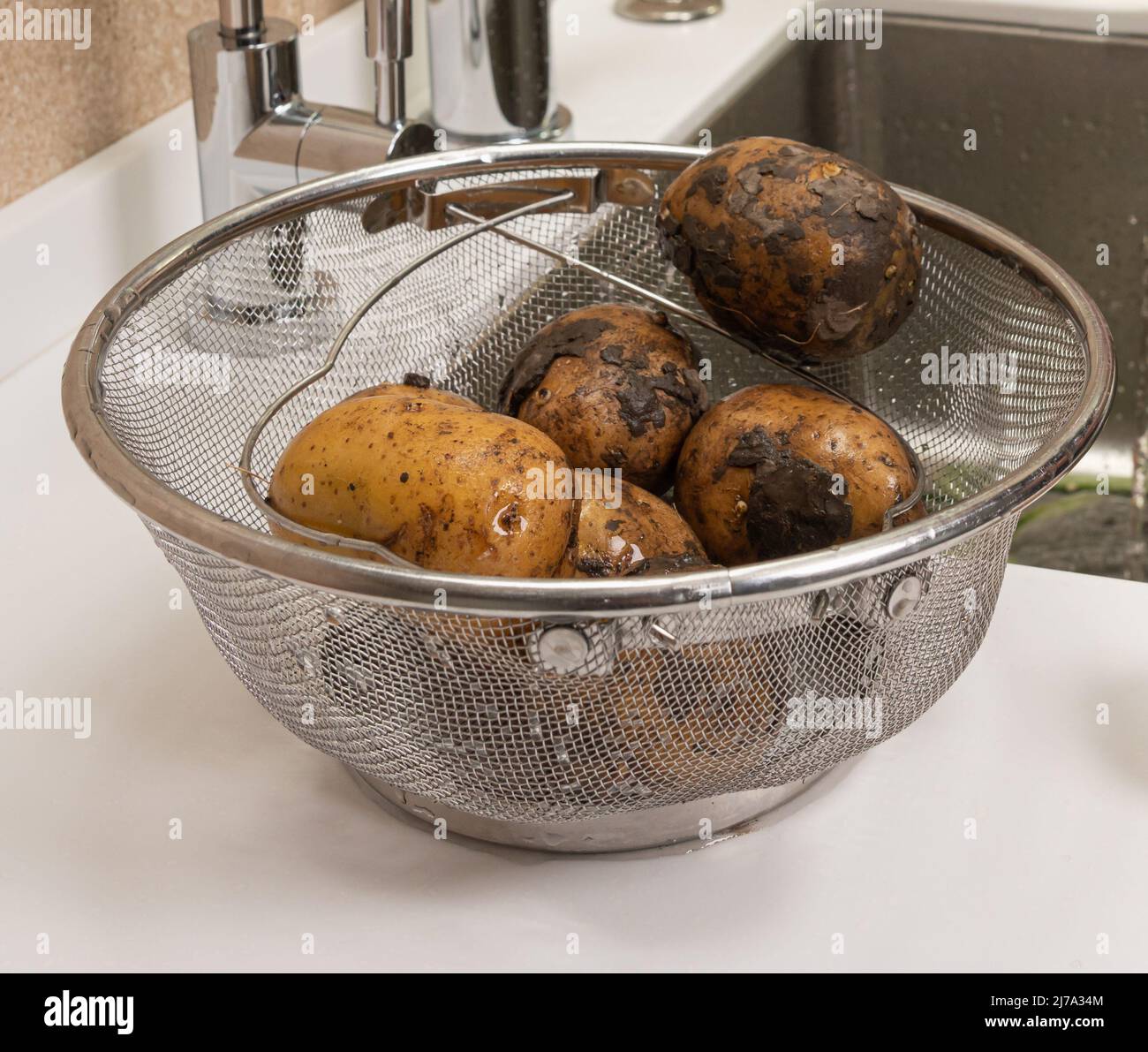 Washing potatoes in water hi-res stock photography and images - Alamy