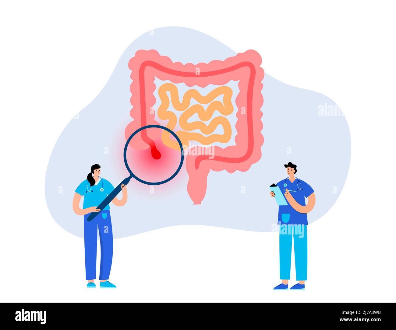 Appendix diagram hi-res stock photography and images - Alamy