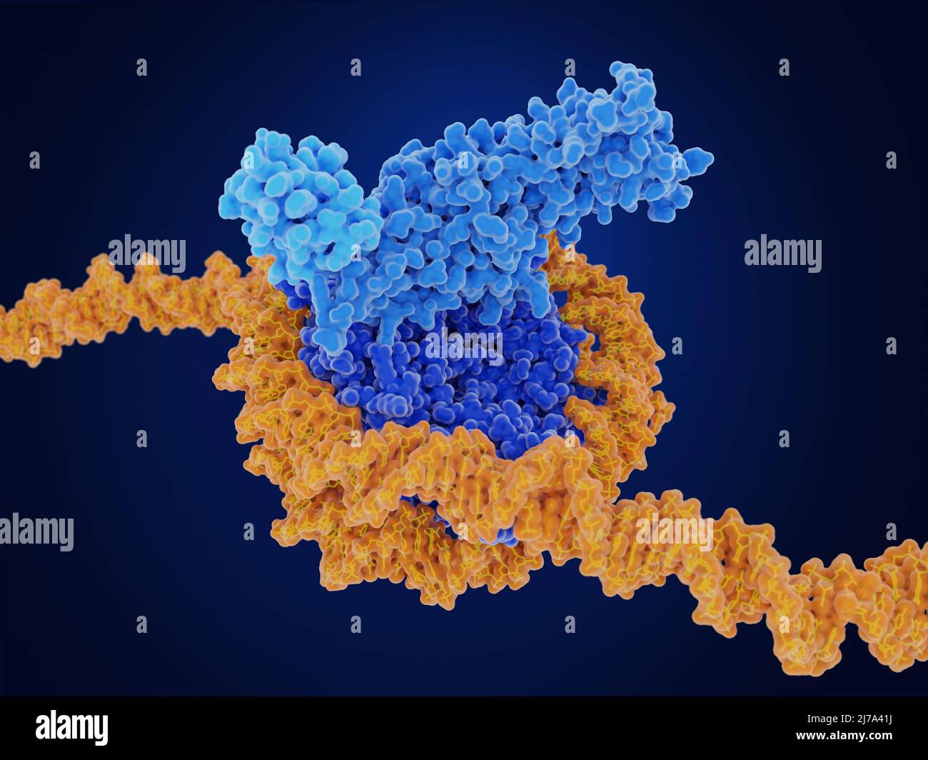 Histone methylation, molecular model Stock Photo - Alamy