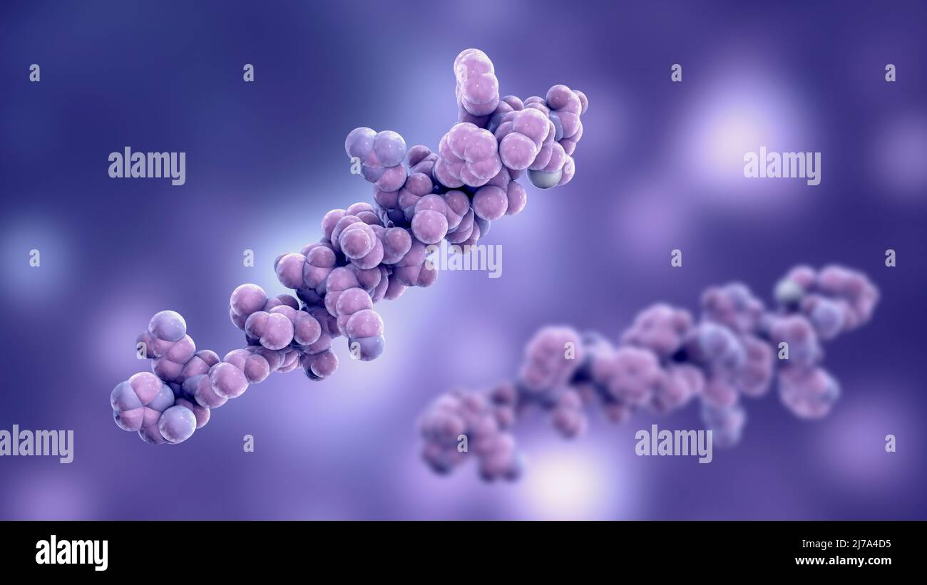 Glucagon hormone molecule, illustration Stock Photo - Alamy