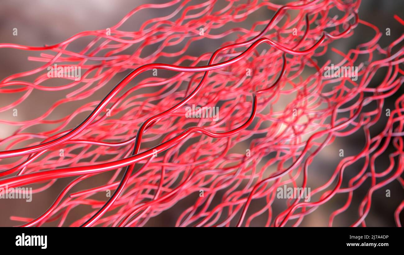 Collagen triple helix molecules, illustration Stock Photo - Alamy