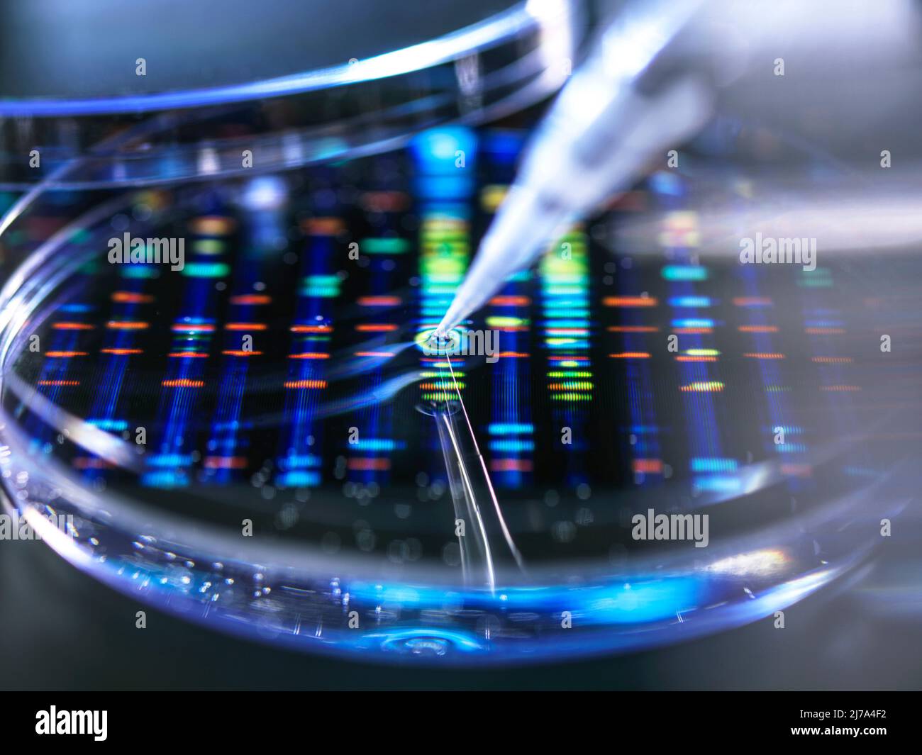 Genetic modification hi-res stock photography and images - Alamy