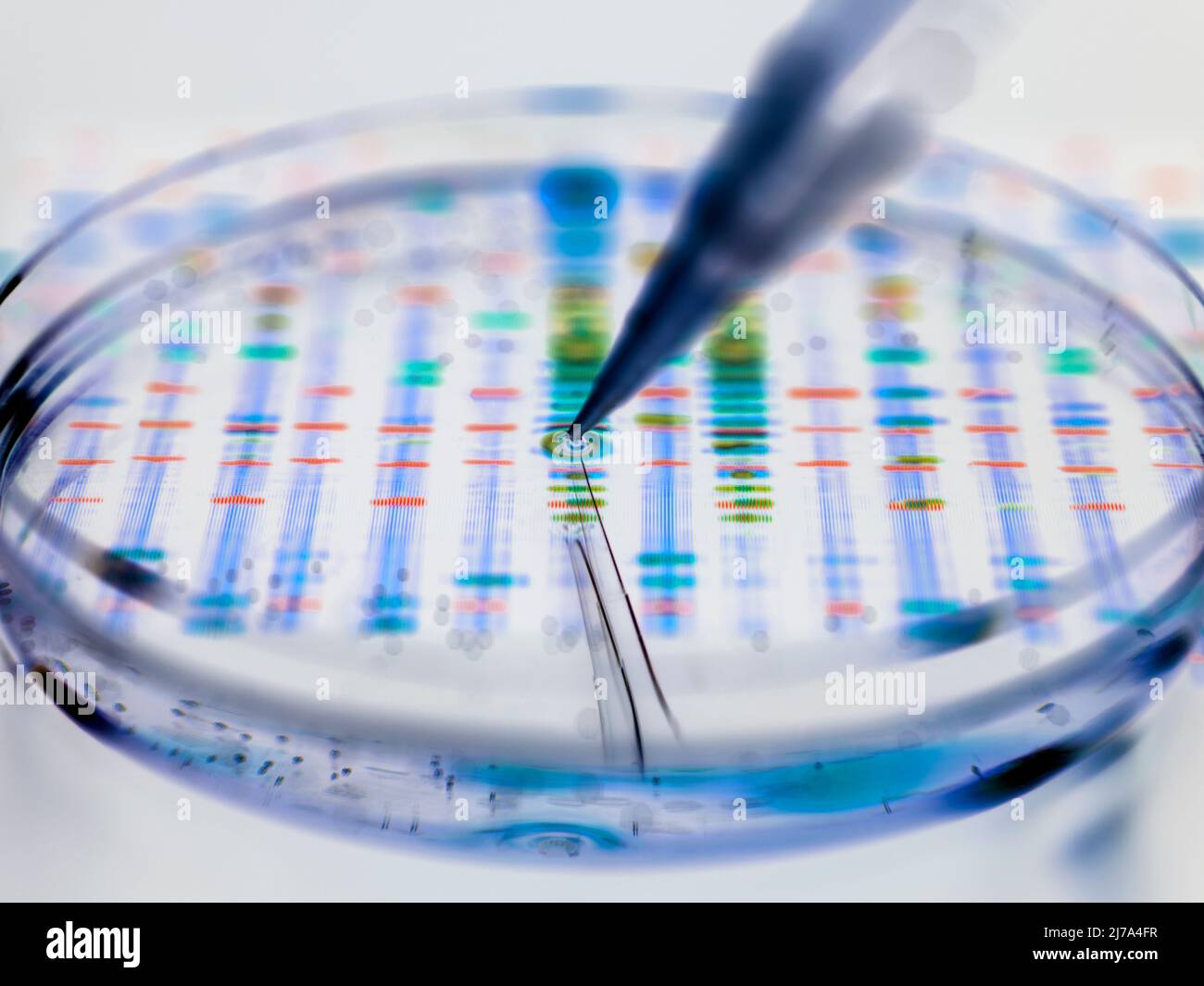 Genetic modification hi-res stock photography and images - Alamy