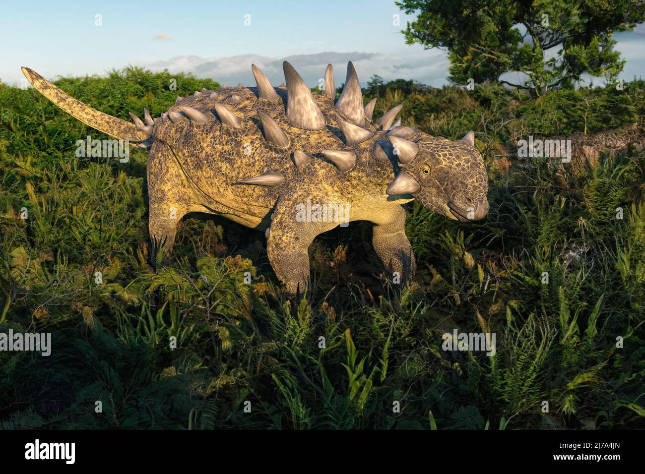 Gastonia burgei hi-res stock photography and images - Alamy