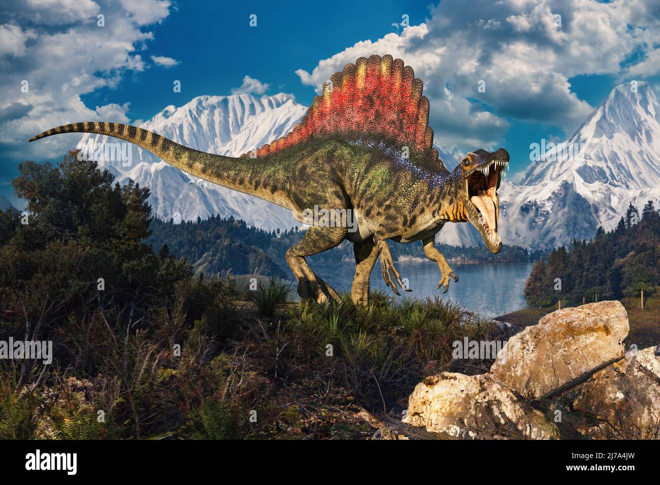 Spinosaurus dinosaur, illustration Stock Photo - Alamy