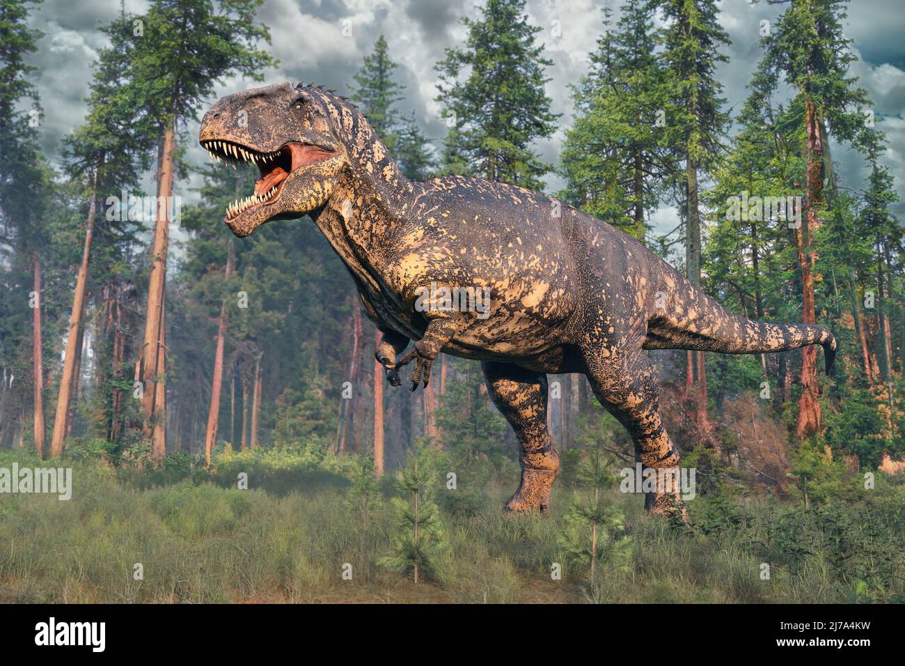 Giganotosaurus dinosaur, illustration Stock Photo - Alamy