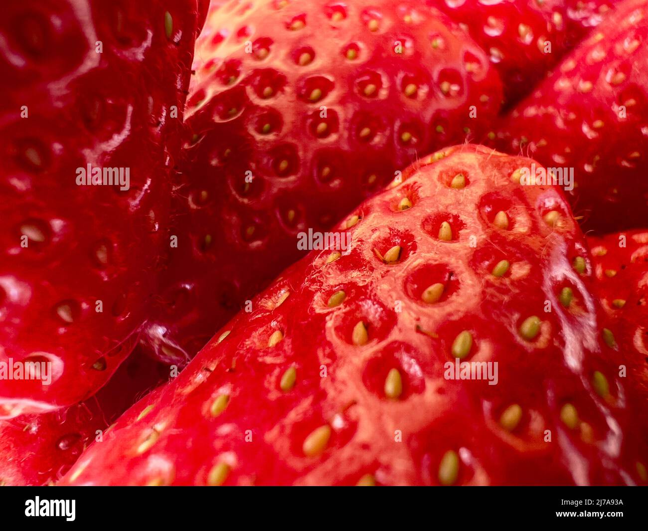 Macro Photograph of Strawberries Stock Photo - Alamy