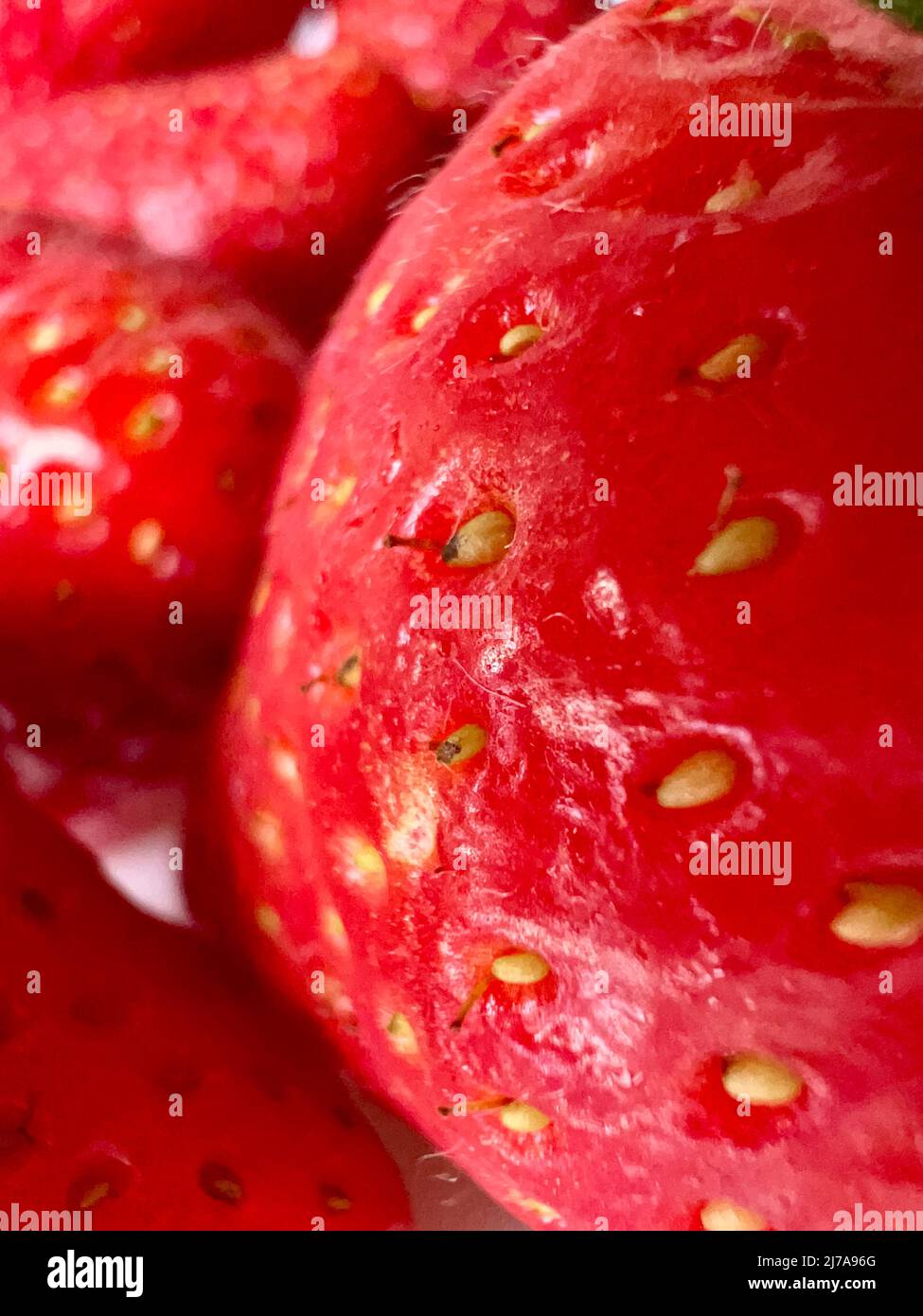 Strawberries Close Up Photograph Stock Photo - Alamy