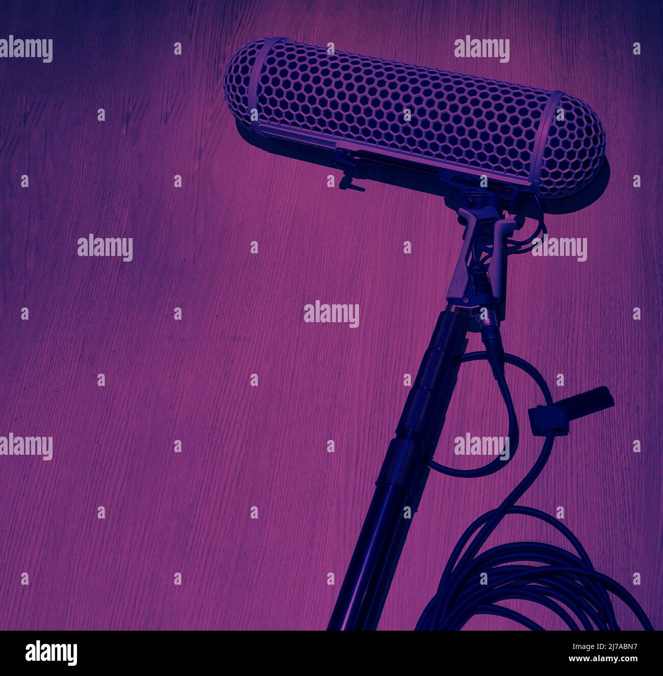 Filming the wood hi-res stock photography and images - Alamy