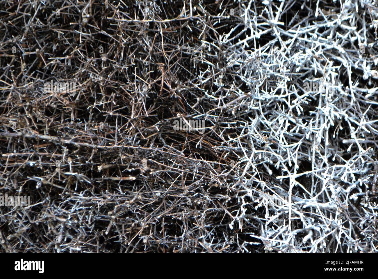 WIELICZKA, POLAND - May 2, 2022: Graduation tower Stock Photo - Alamy