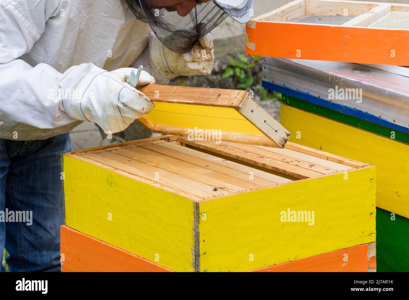 Man beekeeper hi-res stock photography and images - Alamy