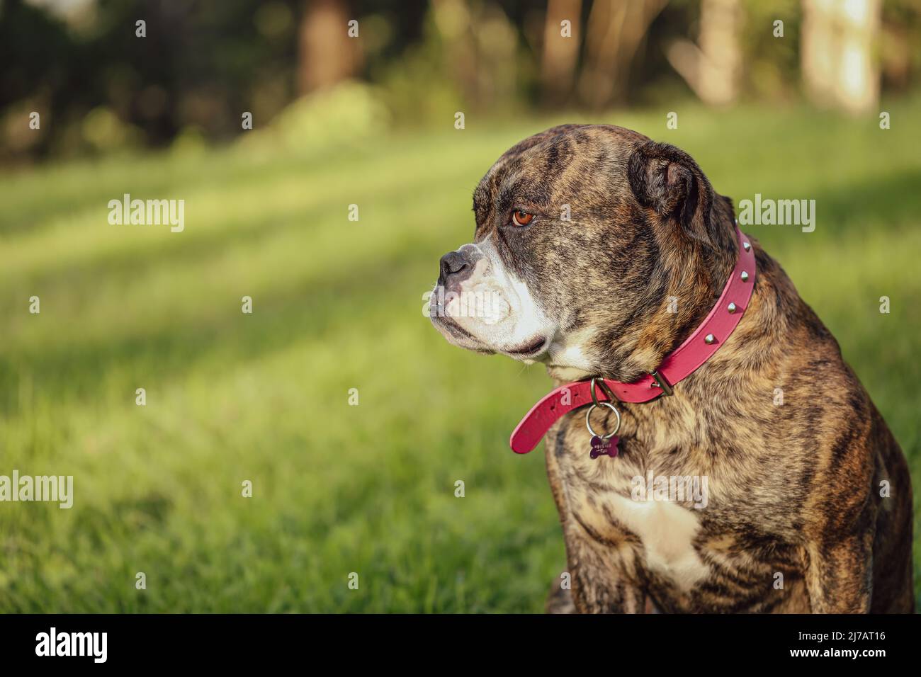 Grumpy face hi-res stock photography and images - Alamy