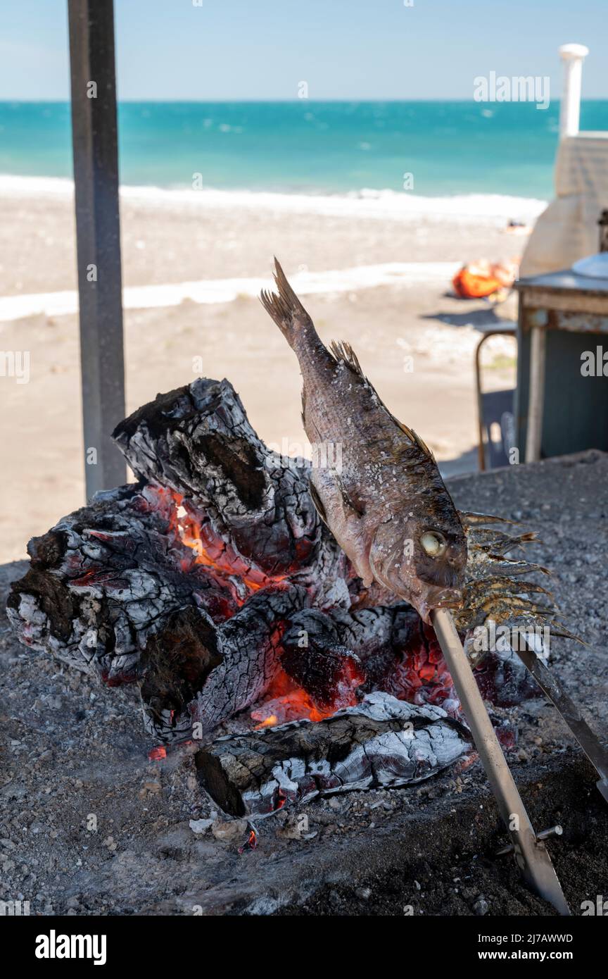 Malaga style of preparation of fresh fish, catch of the day, on skewers ...