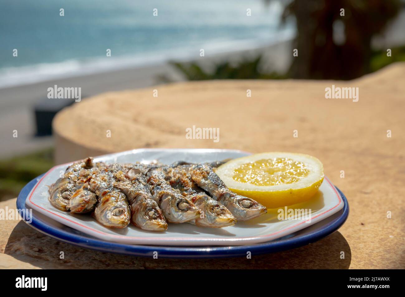 Sardines espeto prepared on skewers and open flame on fireplace with ...
