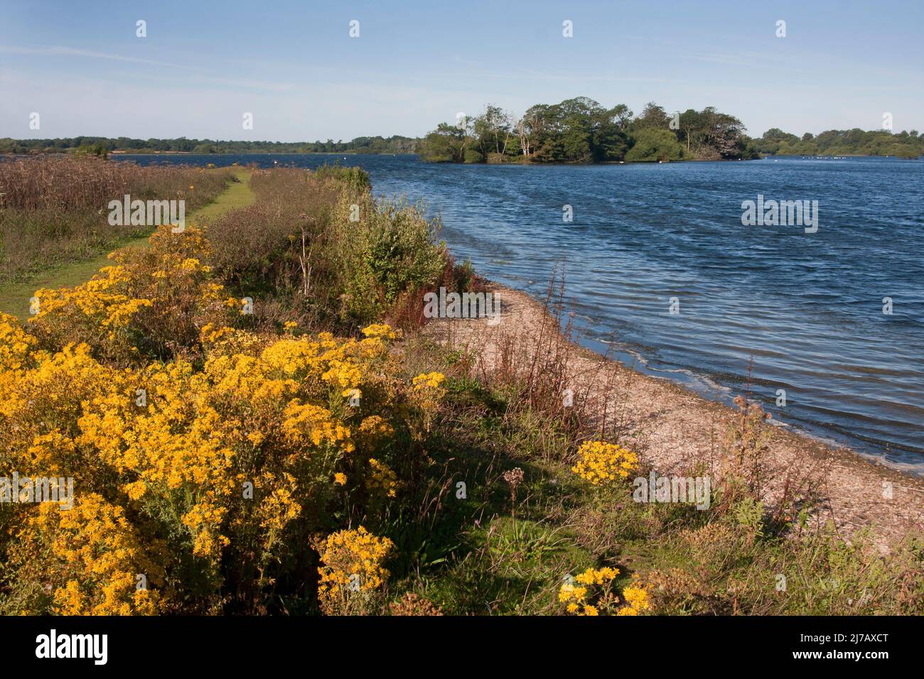Hornsea Mere, Holderness, east Riding of Yorkshire, England Stock Photo ...
