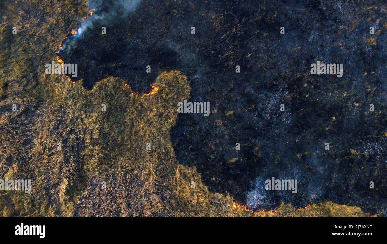 Aerial Drone View Over Burning dry grass and smoke in field. Flame and ...