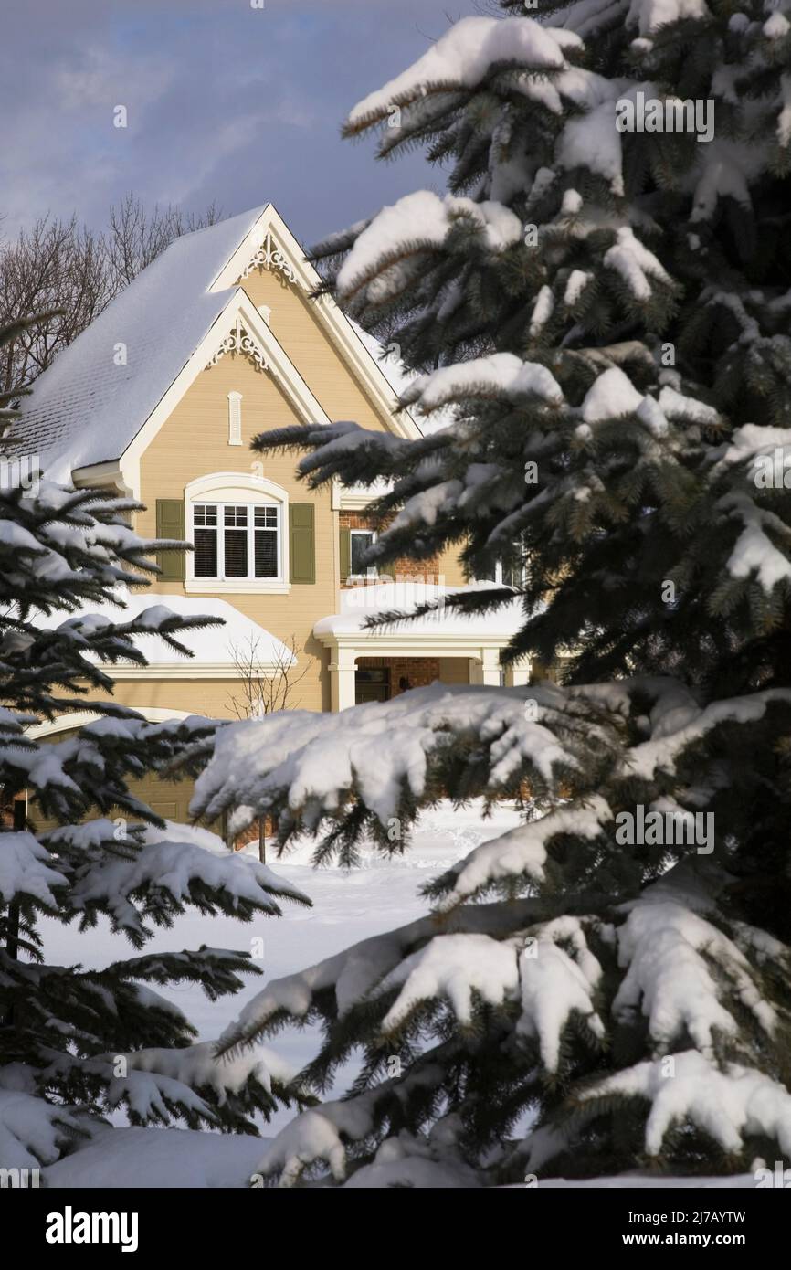 Modern red nuanced brick and beige wood plank cladded two story cottage ...