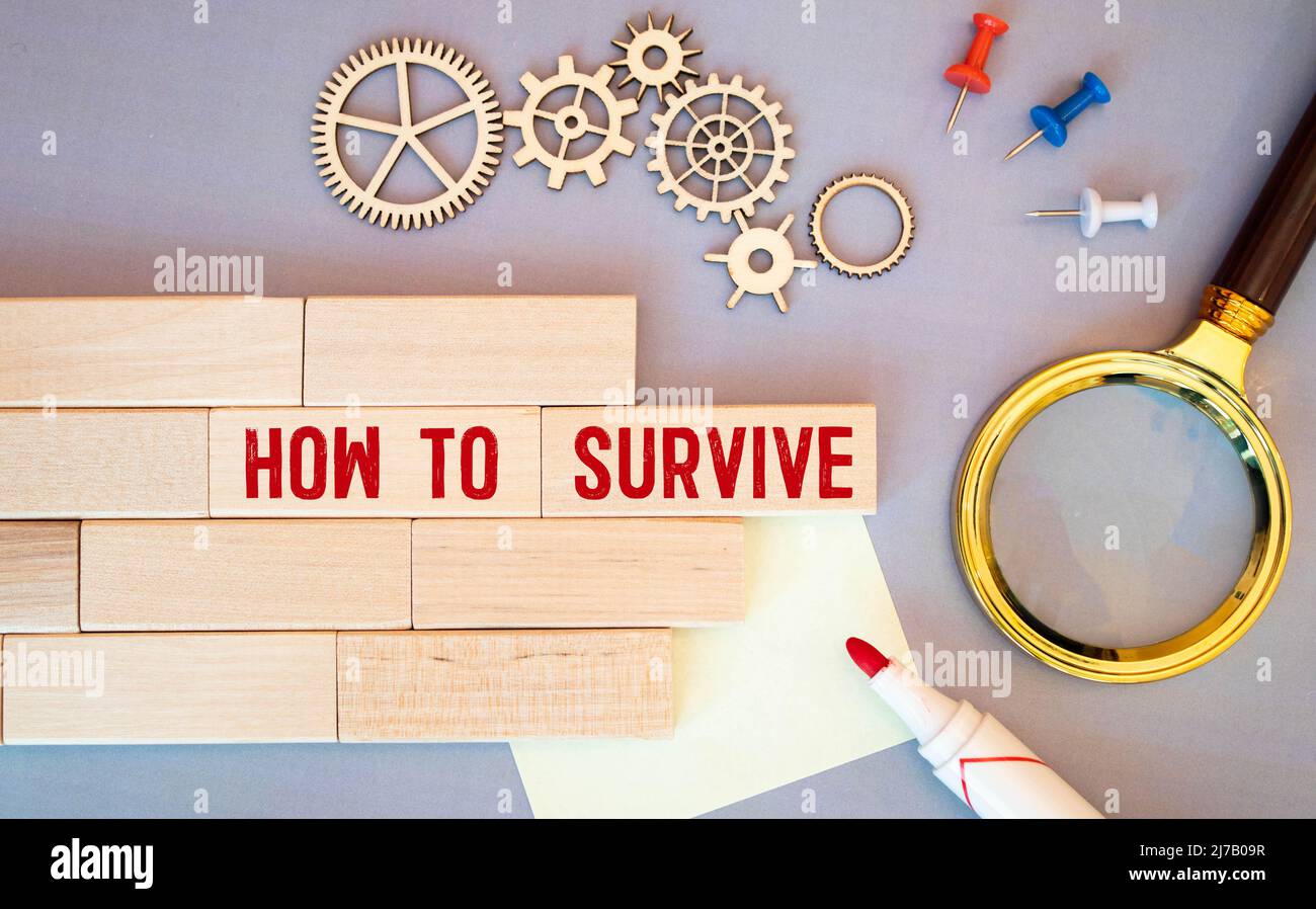 HOW TO SURVIVE text on wooden block ,blue background Stock Photo - Alamy