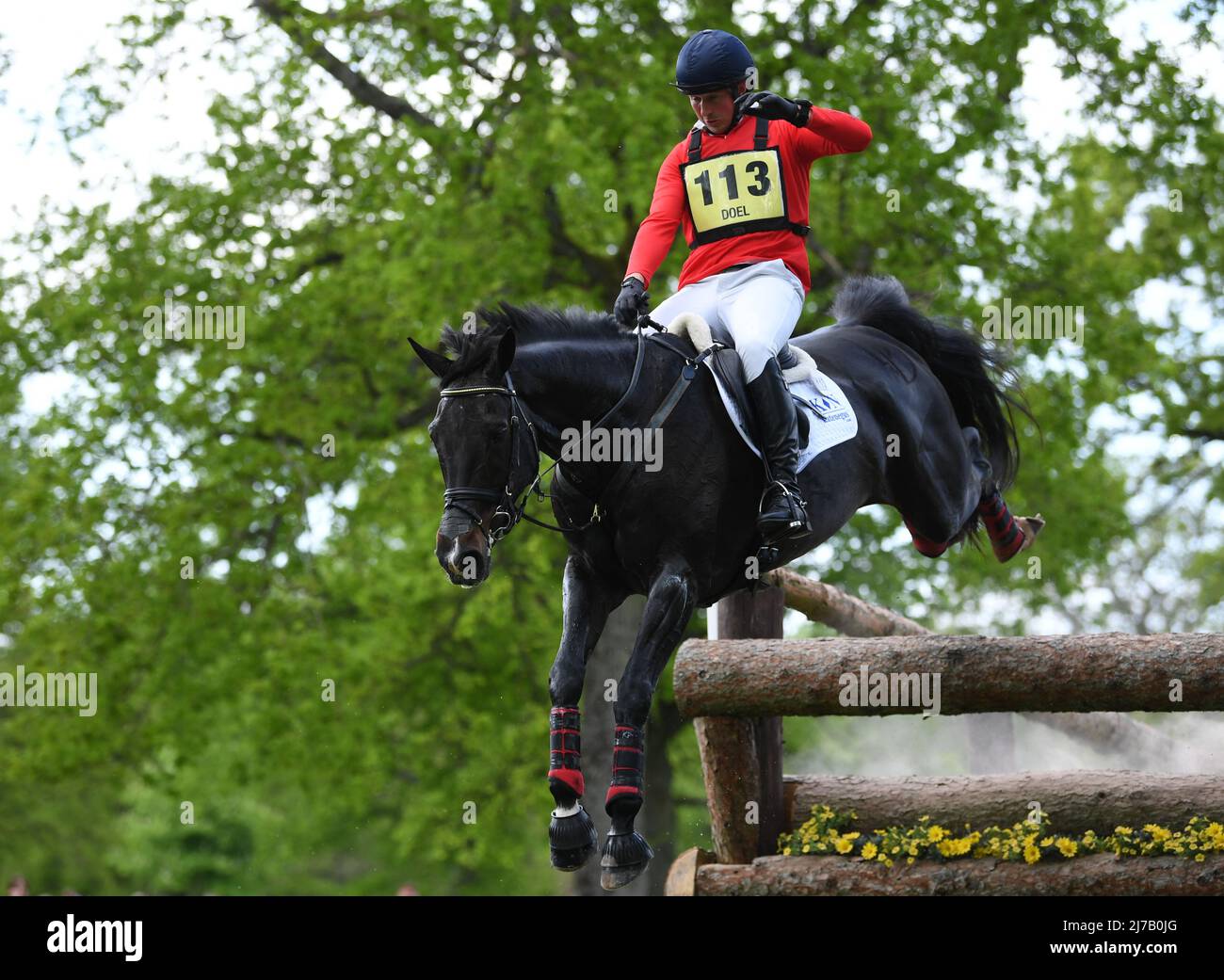 Galileo horse hi-res stock photography and images - Alamy
