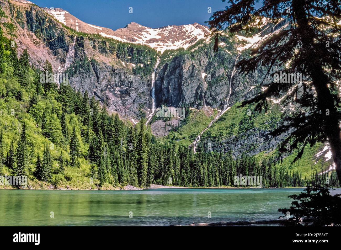 avalanche lake in glacier national park, montana Stock Photo - Alamy
