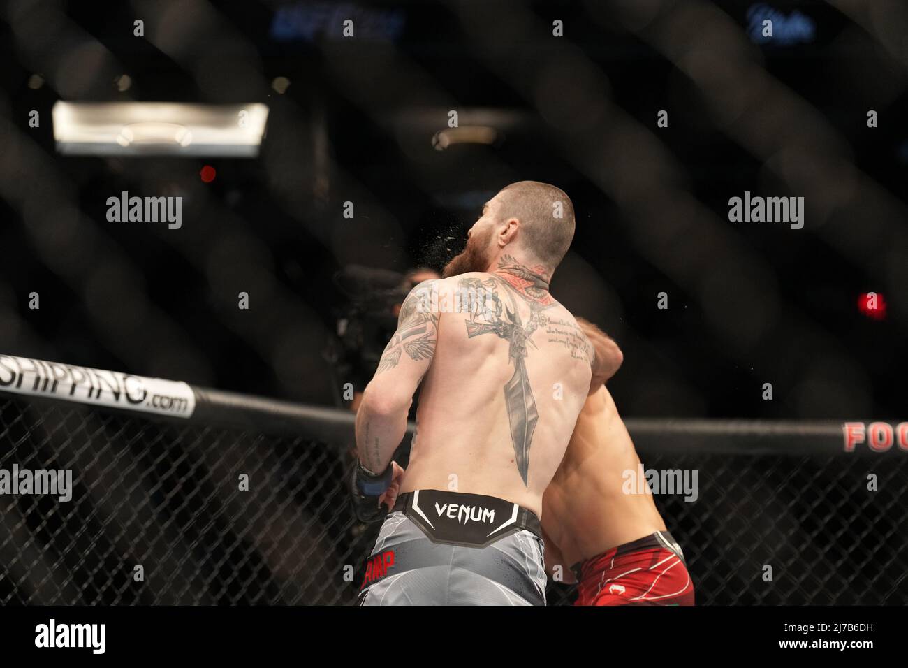 PHOENIX, AZ - MAY 7: (L-R) André Fialho punches Cameron VanCamp in ...