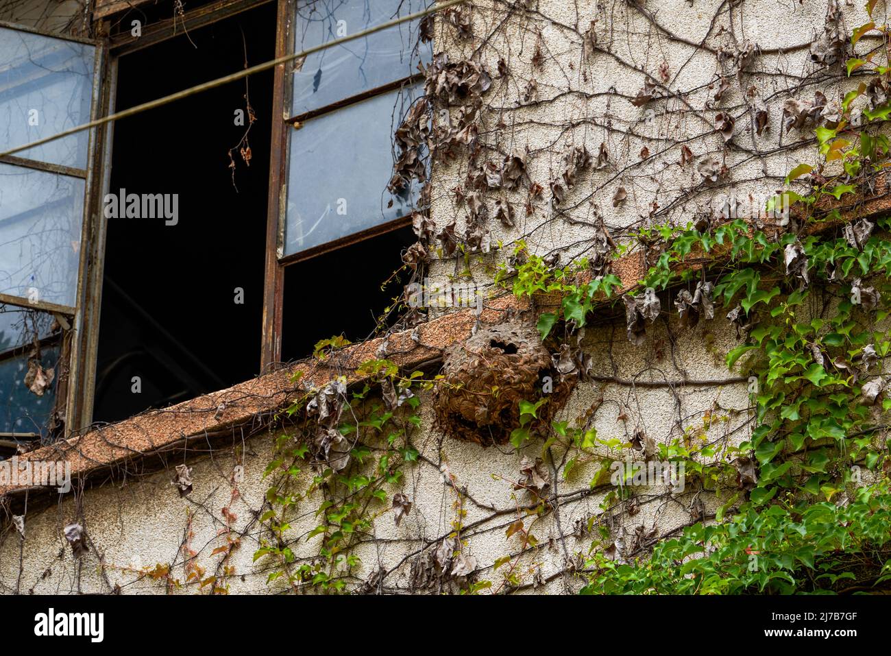 An old red brick building production workshop and factory building ...