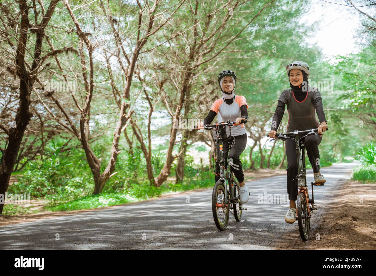 two women cycling on a road with lots of trees Stock Photo - Alamy