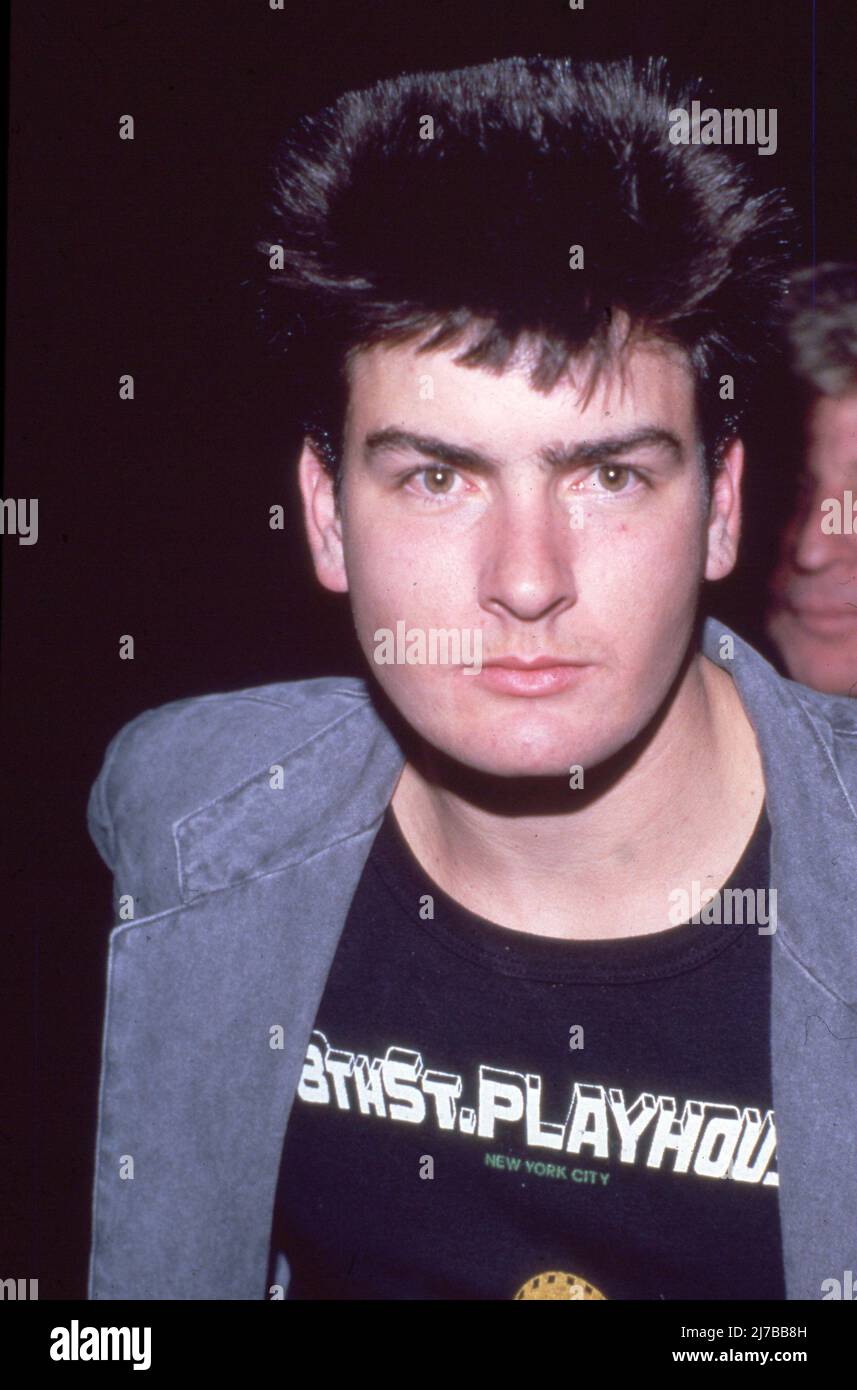 Charlie Sheen The Outsiders