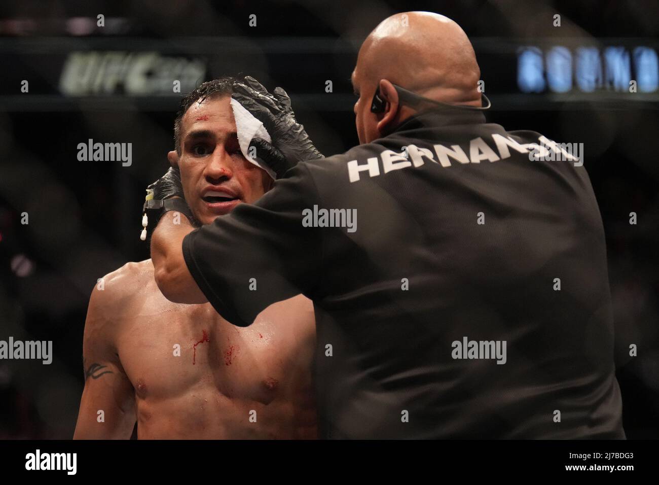 Tony ferguson knockout hi-res stock photography and images - Alamy