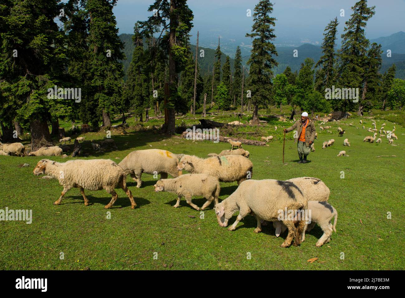 Workindia hi-res stock photography and images - Alamy