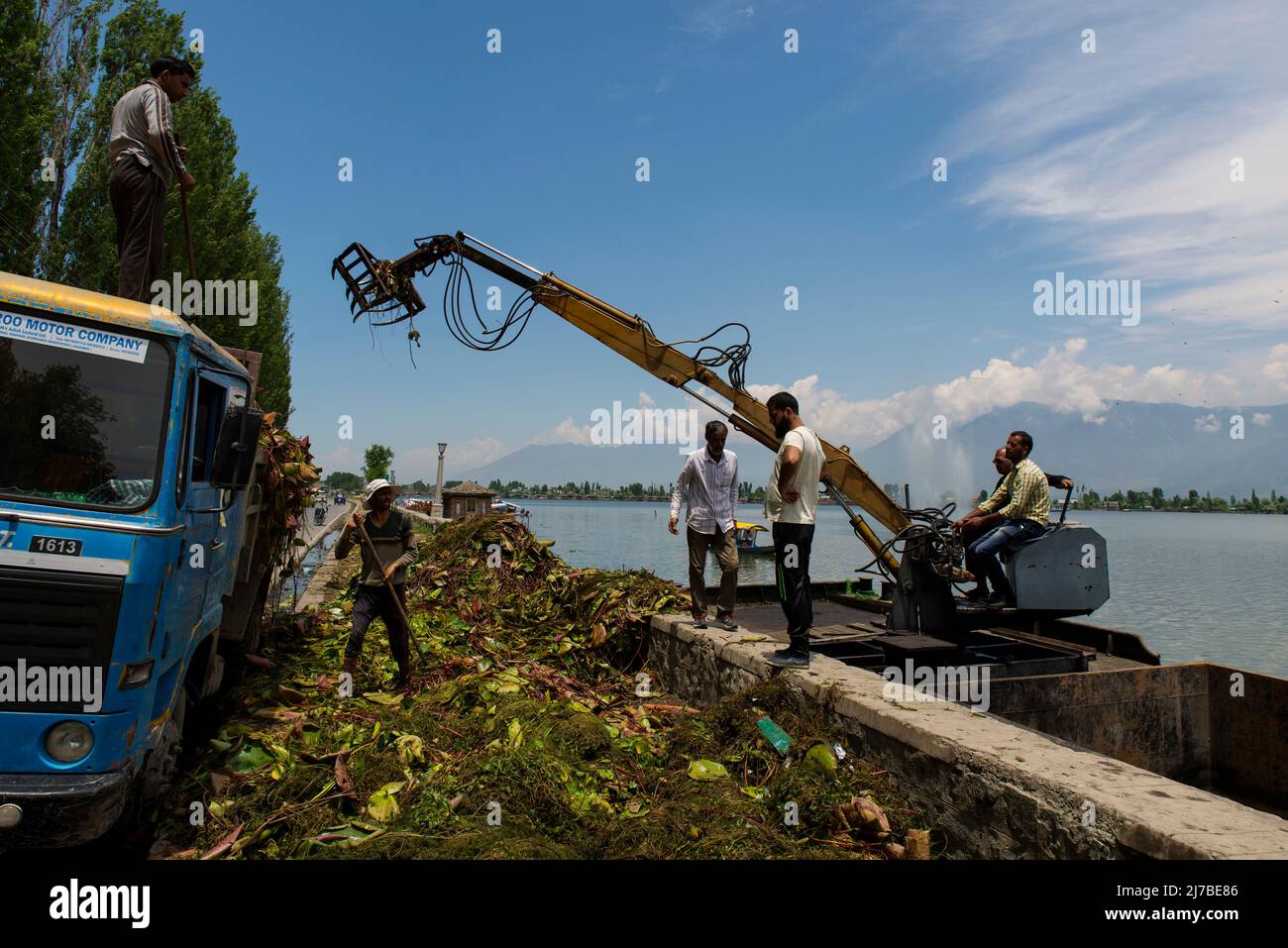 Cleaning Dal Lake Stock Photo - Alamy
