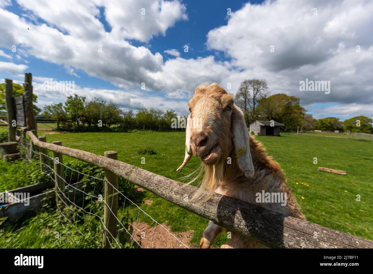 Agri experience hi-res stock photography and images - Alamy