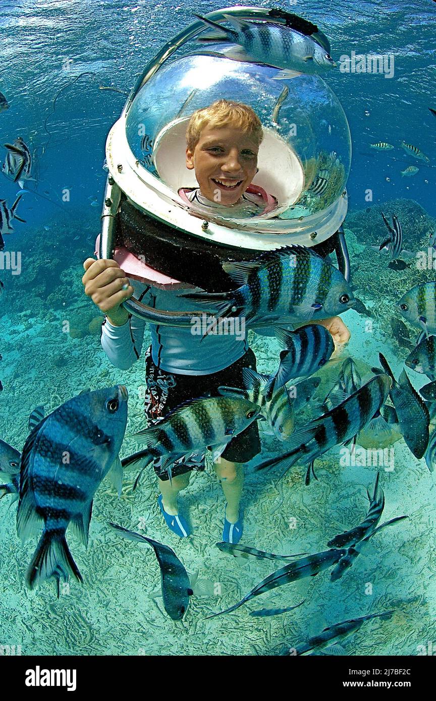 Underseawalk hi-res stock photography and images - Alamy