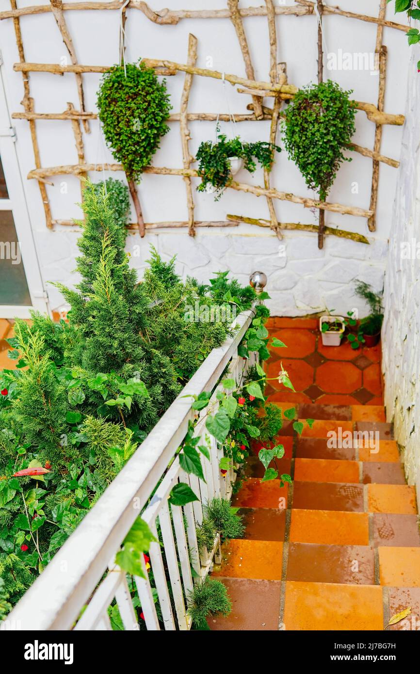 Summer garden with green trees Stock Photo - Alamy