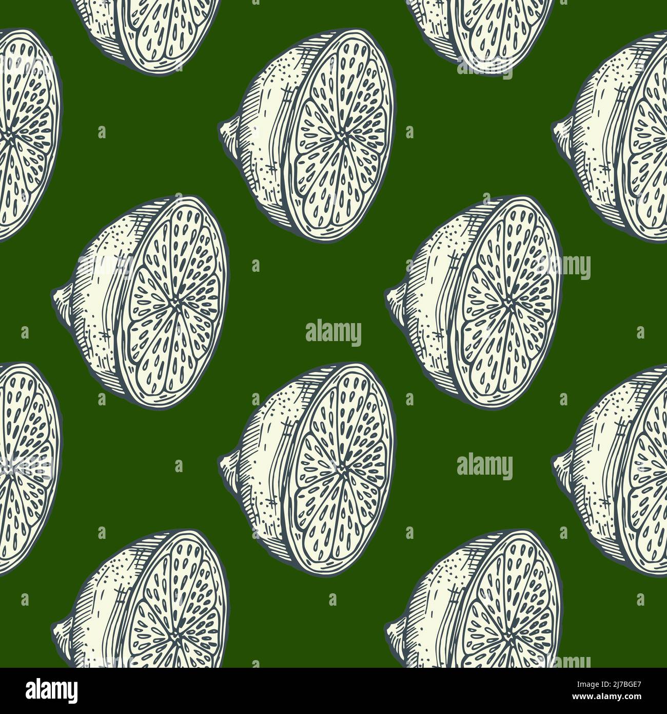 Seamless pattern lemon half engraving. Vintage background of citrus ...