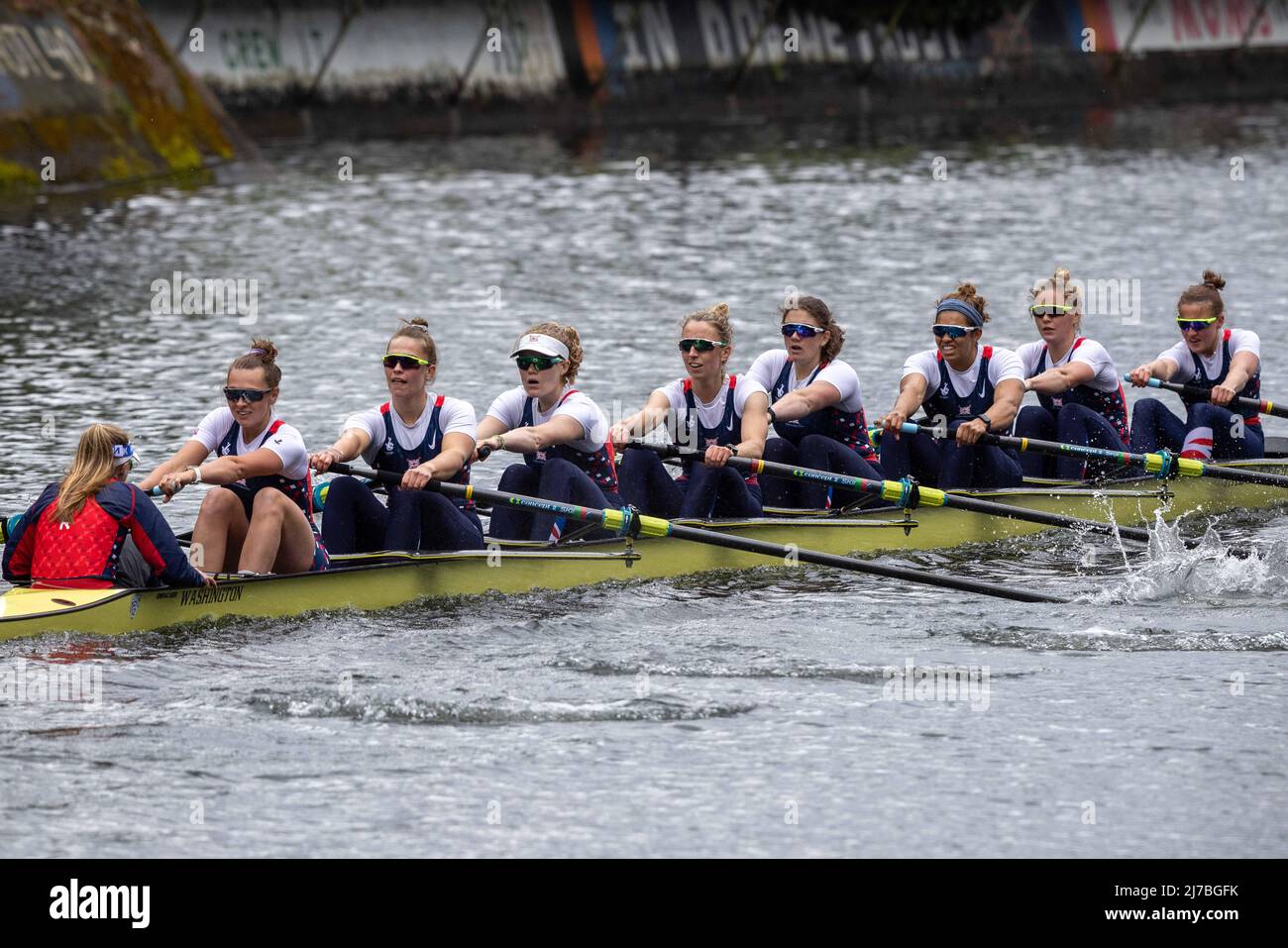 Rowing boat cut out hi-res stock photography and images - Alamy