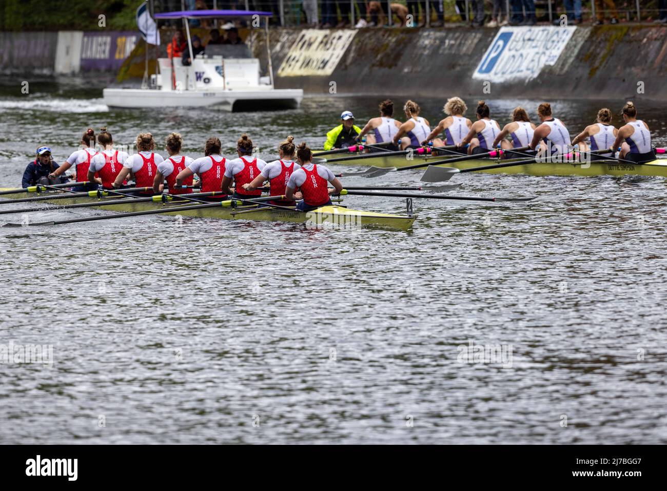 Rowing boat cut out hi-res stock photography and images - Alamy