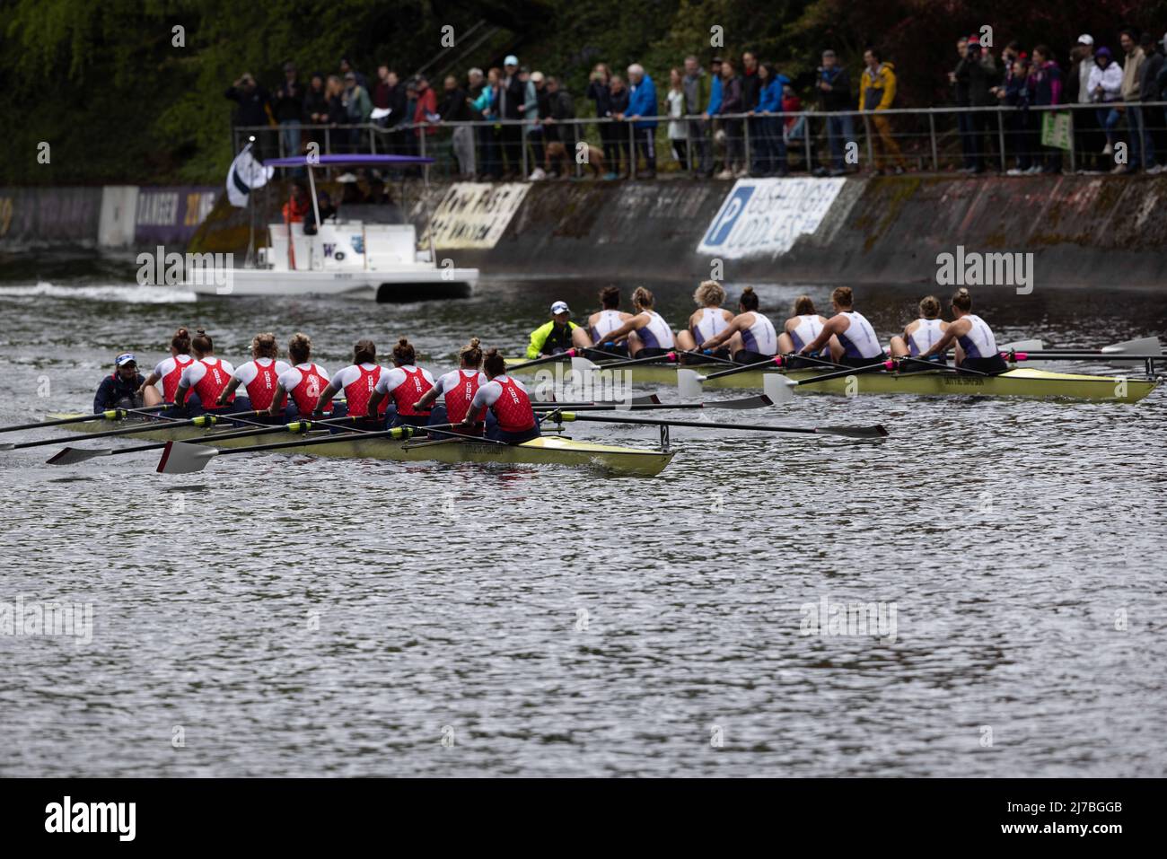 Rowing boat cut out hi-res stock photography and images - Alamy