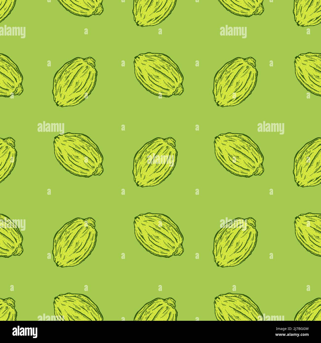 Seamless pattern engraved lemons. Vintage background citrus fruit in ...