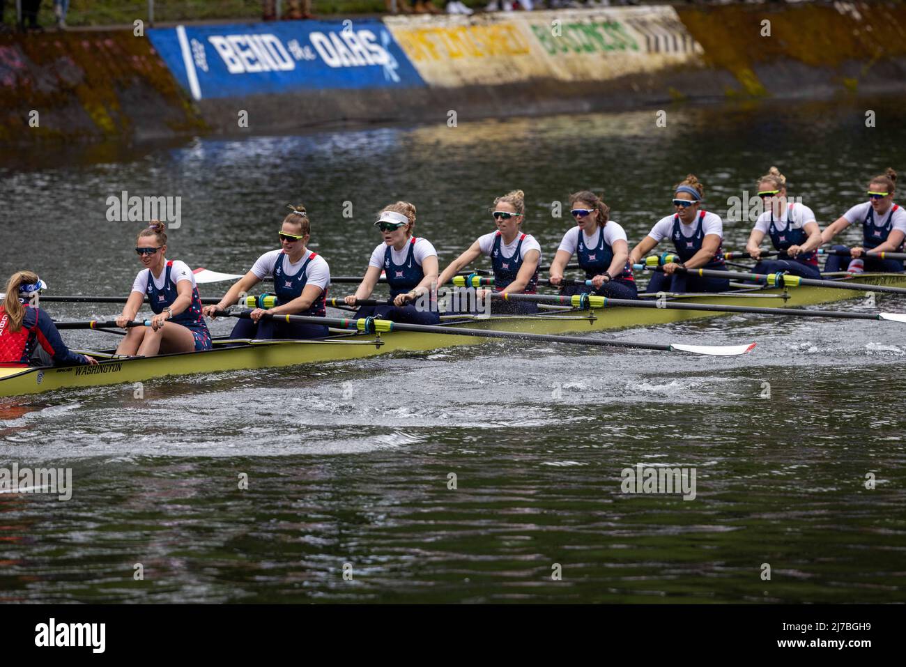 Rowing boat cut out hi-res stock photography and images - Alamy