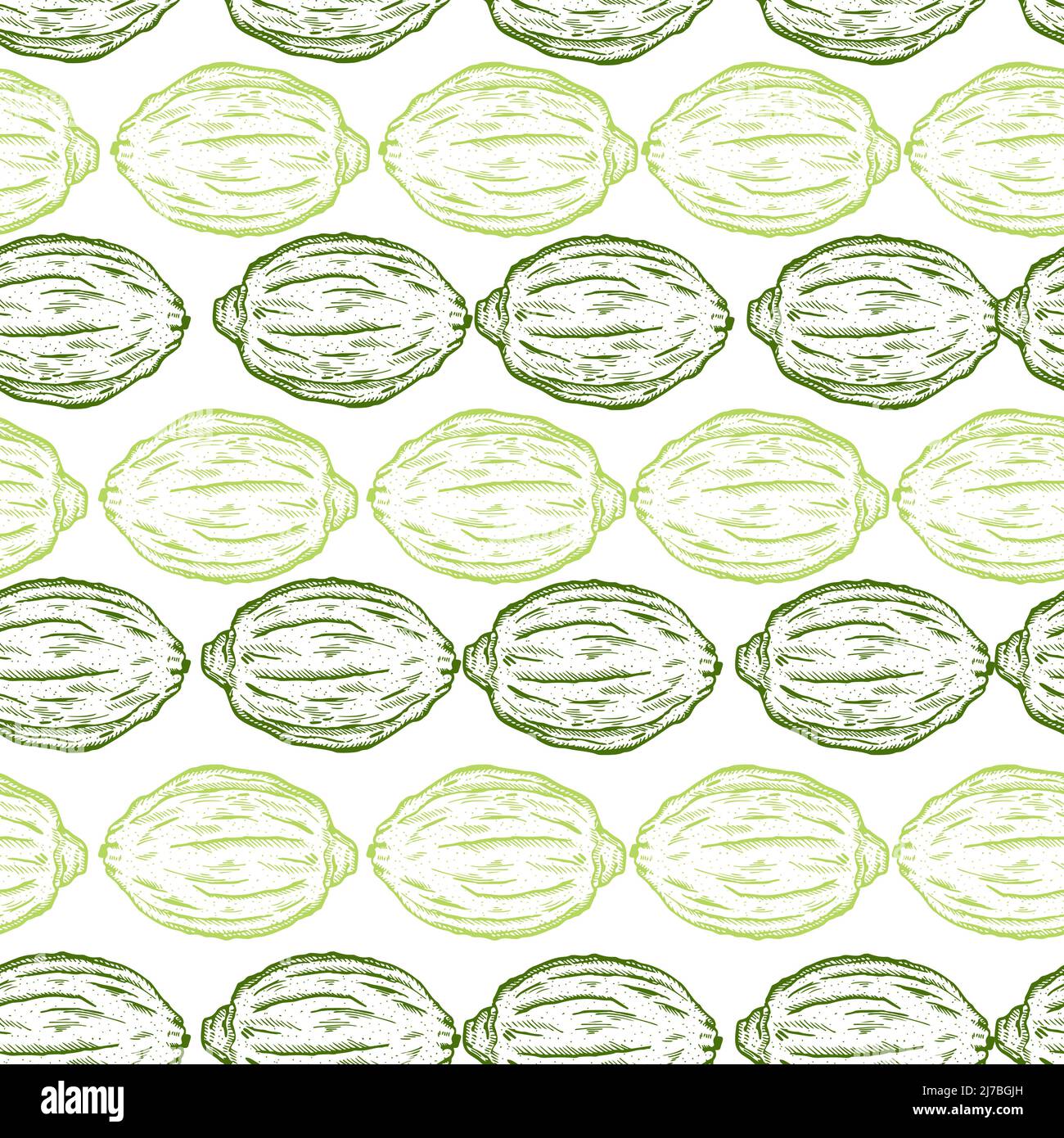Seamless pattern engraved lemons. Vintage background citrus fruit in ...