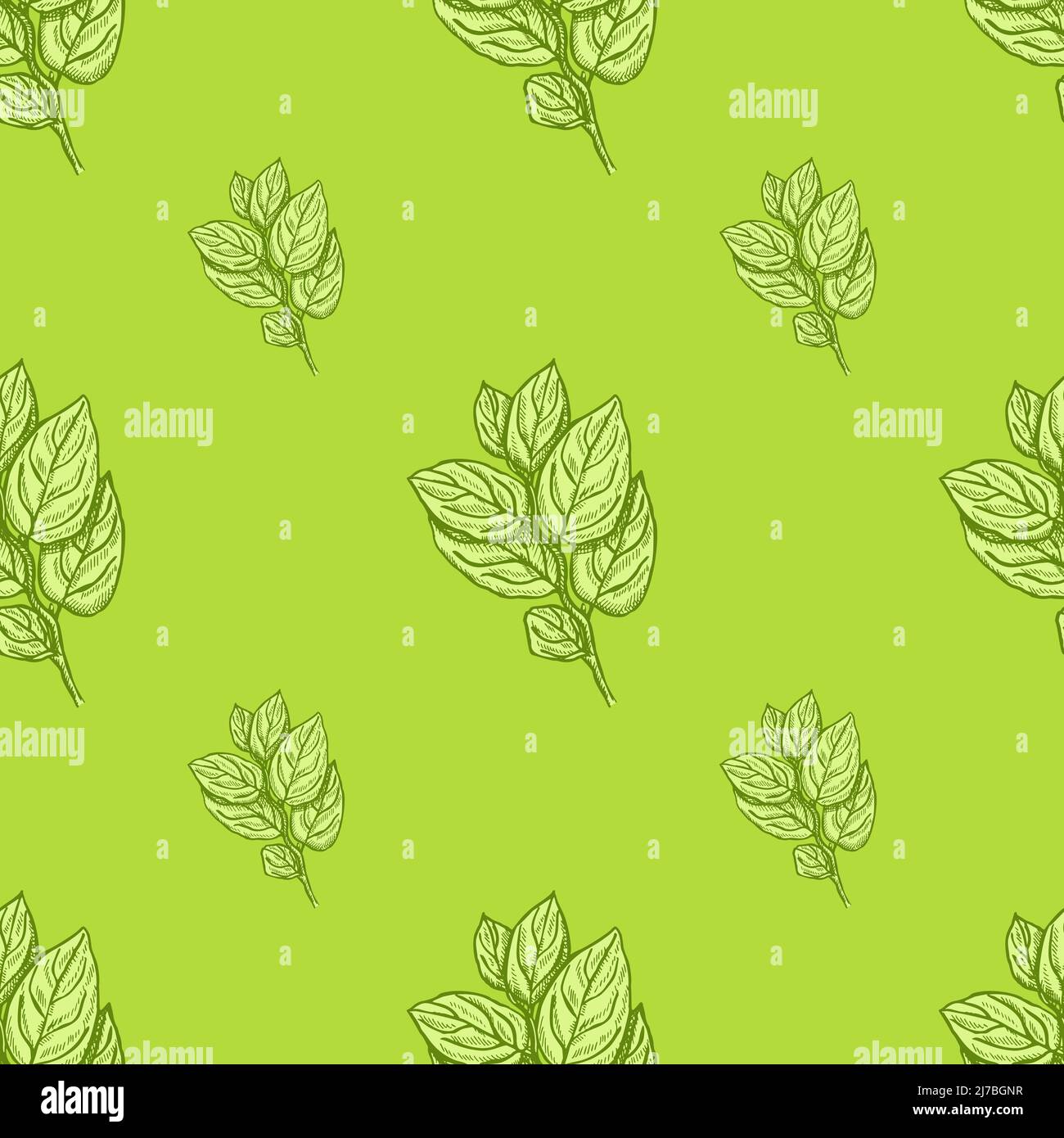 Seamless pattern engraved tree branches. Vintage background summer ...