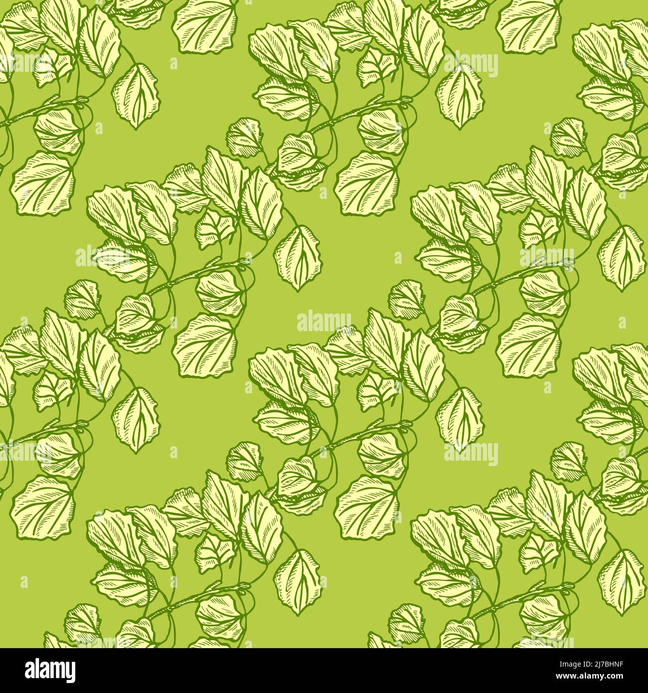 Seamless pattern engraved tree branches. Vintage background summer ...