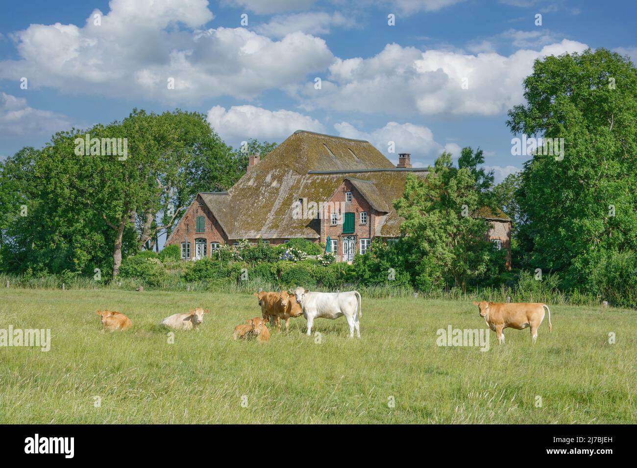 Peter house farm hi-res stock photography and images - Alamy