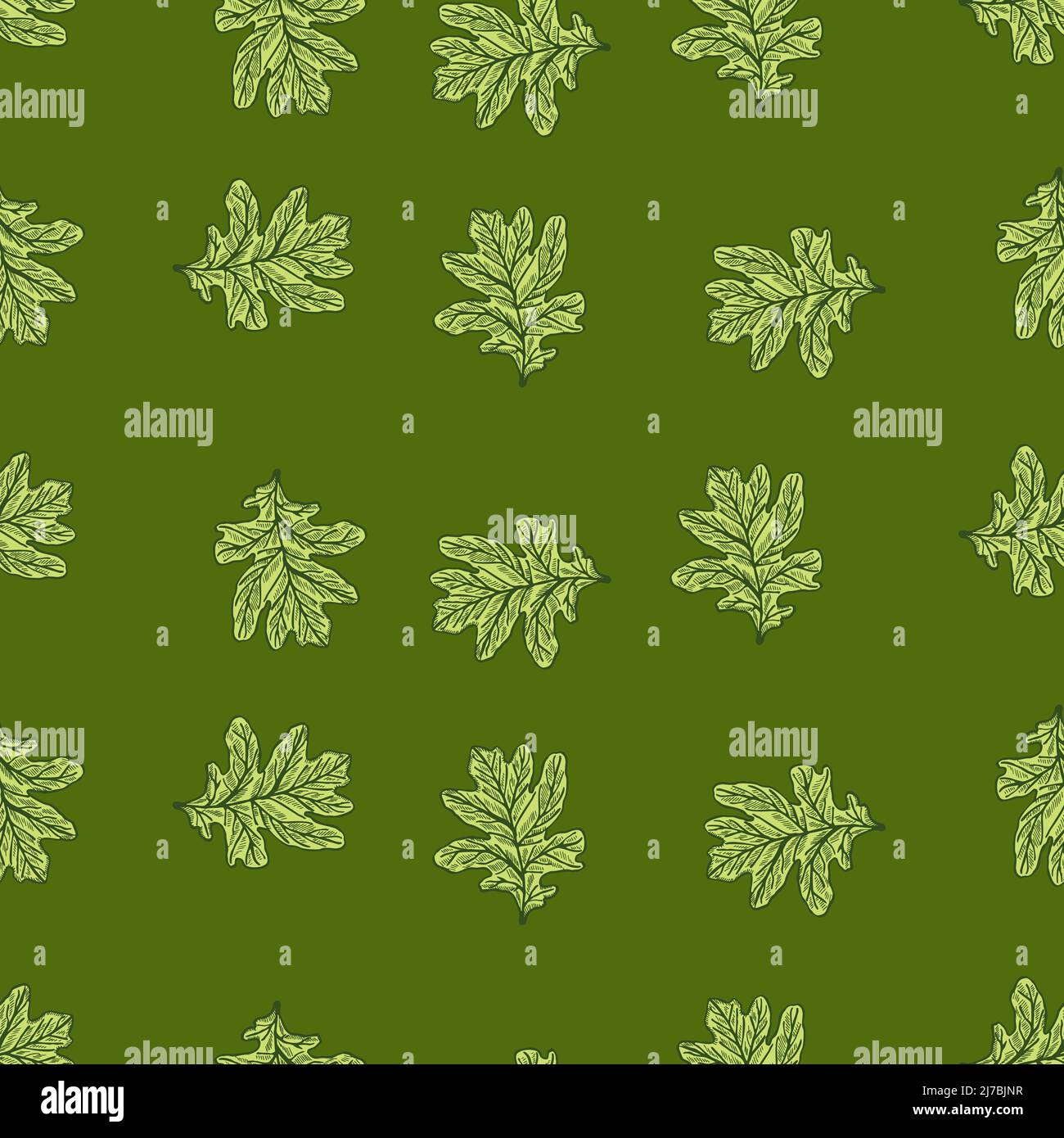 Leaves oak engraved seamless pattern. Retro background botanical with ...