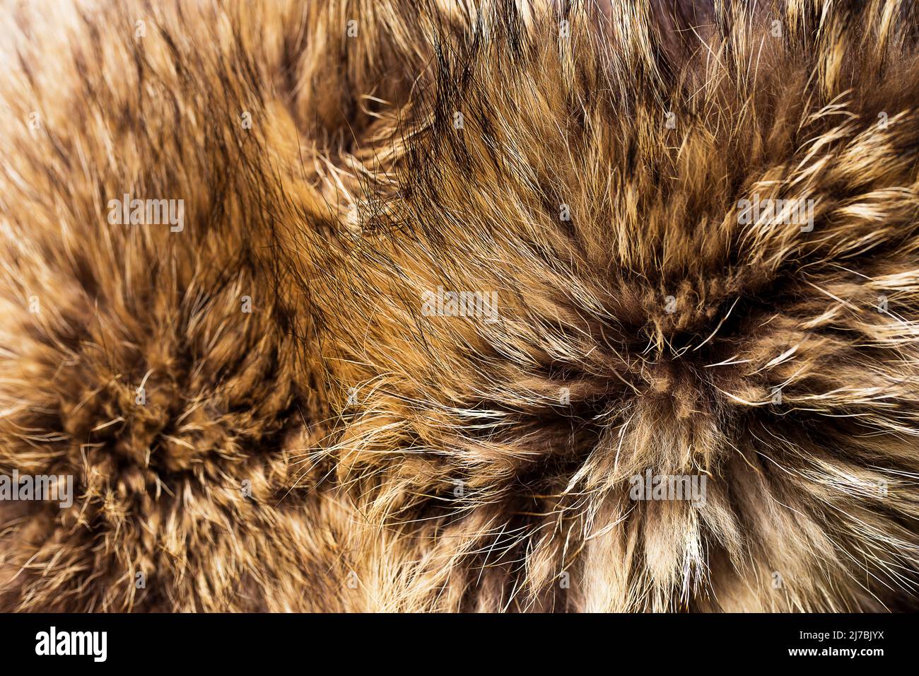 Background closeup of fluffy fox fur texture Stock Photo - Alamy